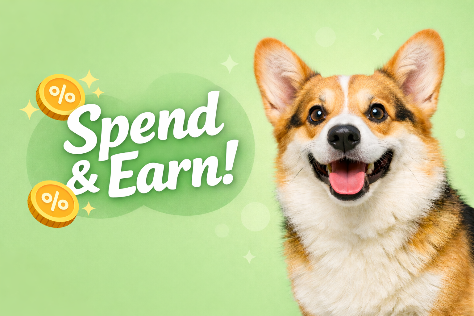 Everything Your Pet Needs – Pet Food, Toys & Accessories in Cyprus ...