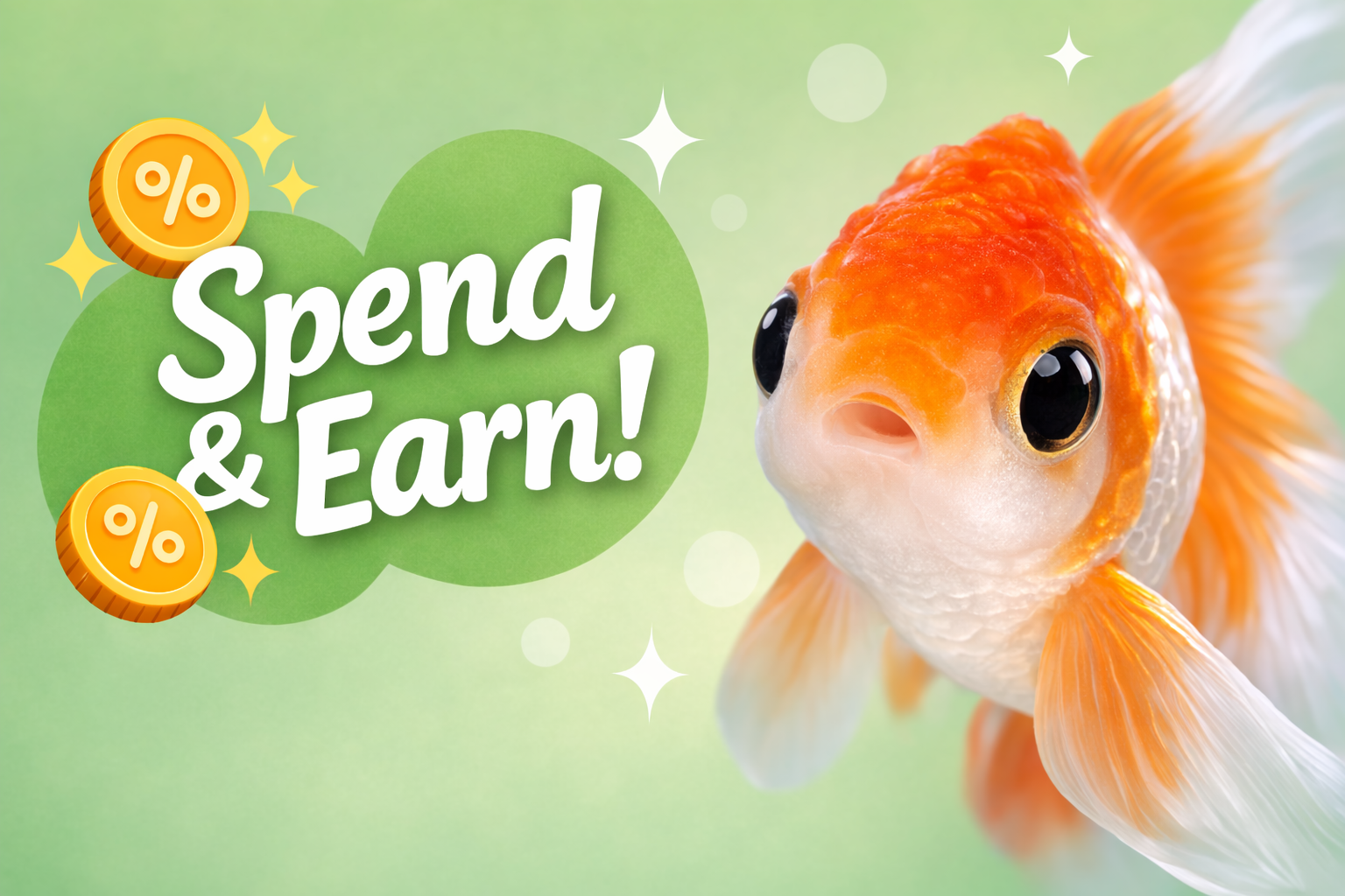 Everything Your Pet Needs – Pet Food, Toys & Accessories in Cyprus ...