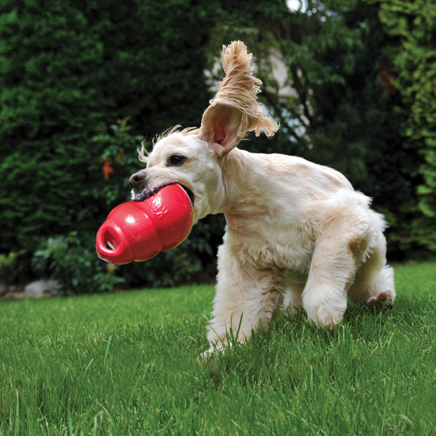 Everything Your Pet Needs – Pet Food, Toys & Accessories in Cyprus ...