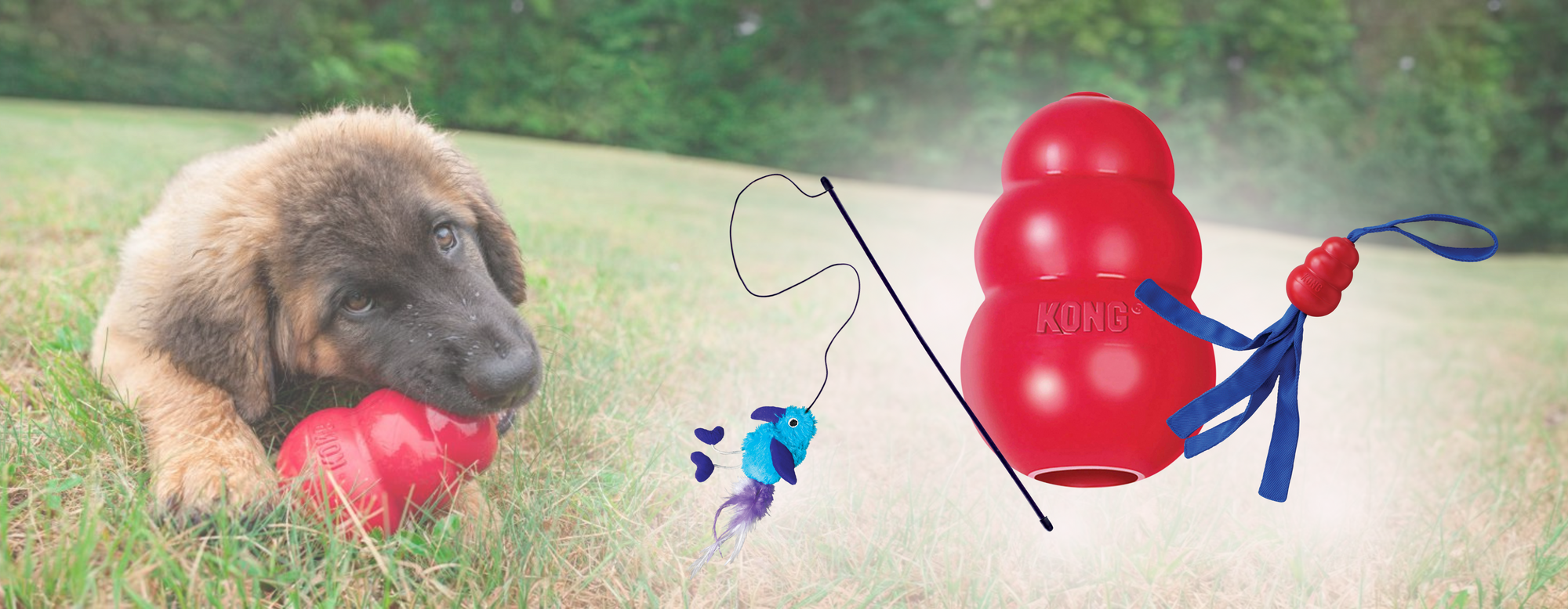 Petsland.cy | Cyprus' Top Online Pet Store | Free Delivery Orders €30+